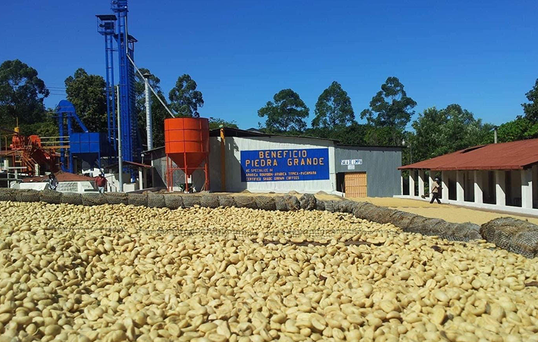 BRASH Coffee - About | BRASH Coffee Roasters