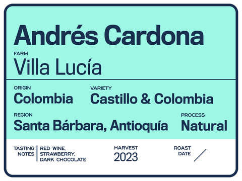 BRASH - Shop Coffee | BRASH Coffee Roasters